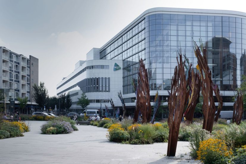 Testen van Chipsoft HiX-implementatie bij MST: grote diversiteit, hoge ...